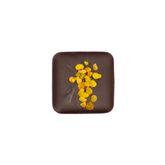 Dutch Boys Chocolate